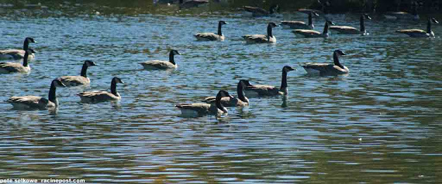 Racine Post: 10/10/10 - 10/17/10