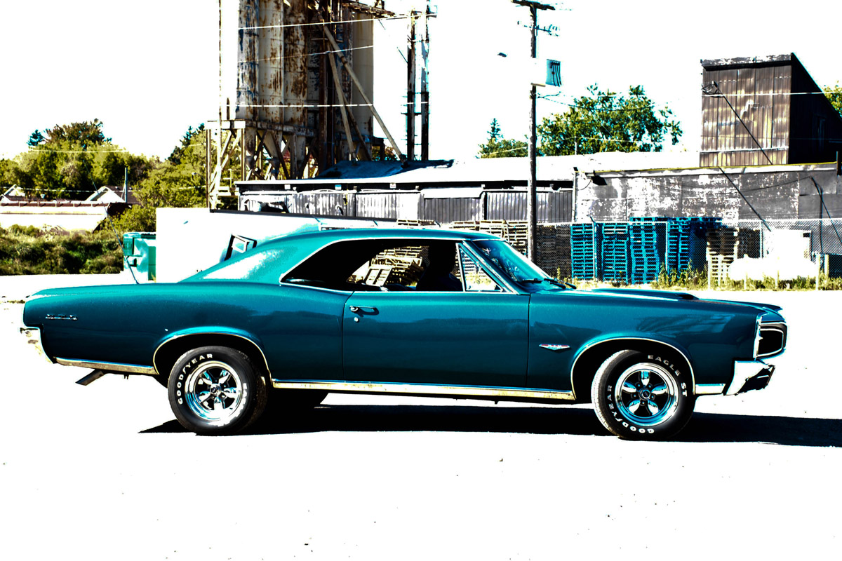 Niki Parker Photography: 66 GTO