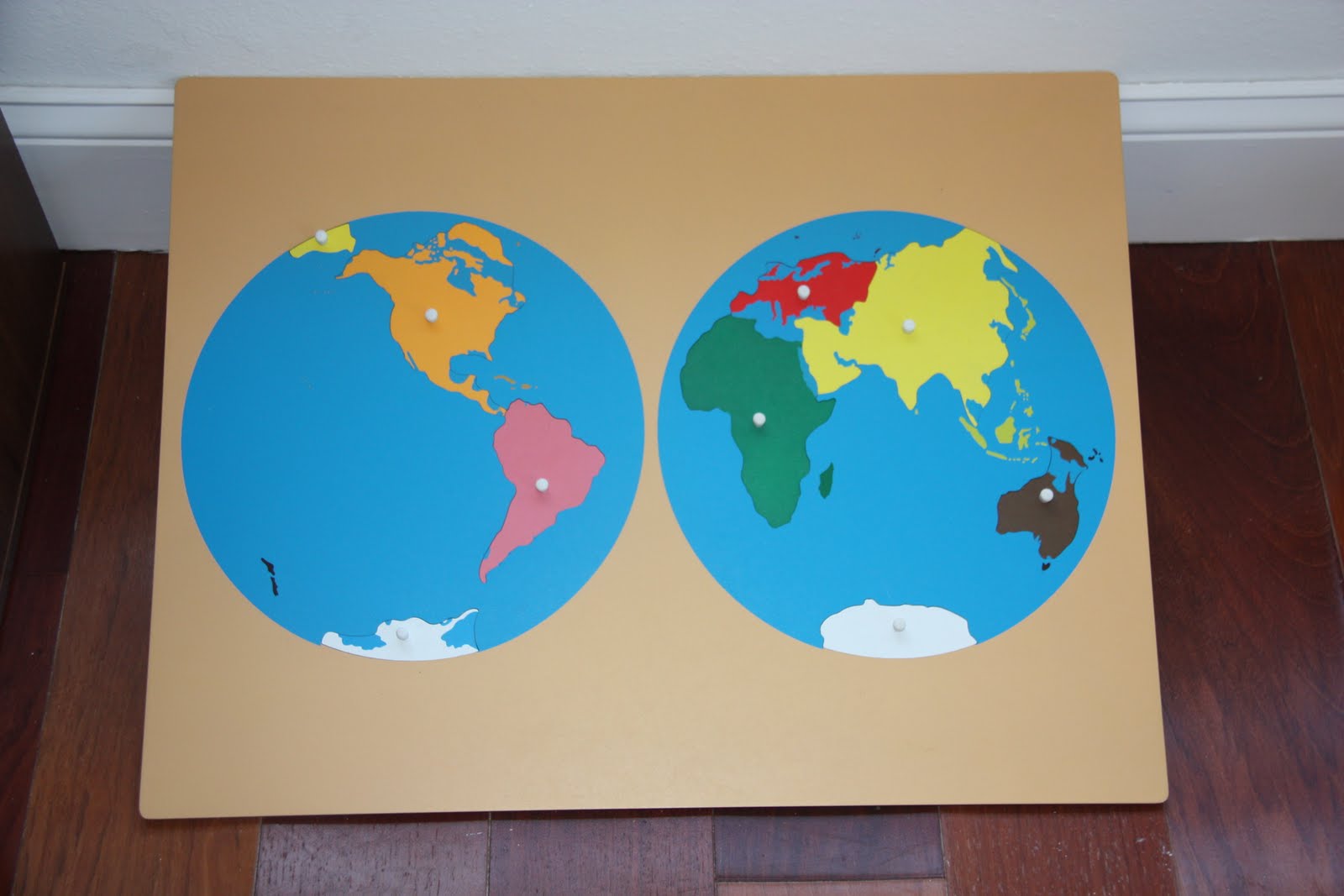 Counting Coconuts: On Our Shelves - Back to School