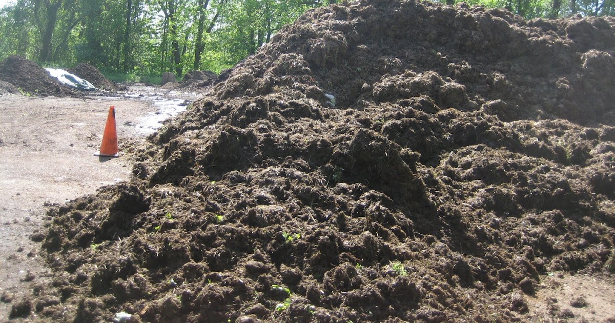 Have You Ever Picked A Carrot?: One Big Pile Of...