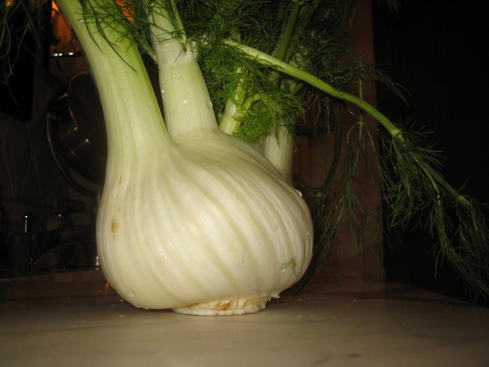 Have You Ever Picked A Carrot?: The Grand Fennel