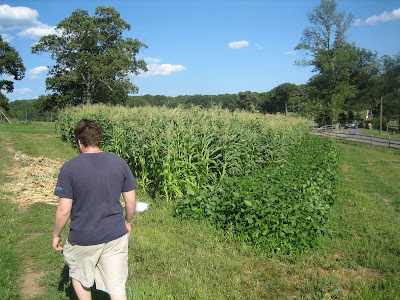 Have You Ever Picked A Carrot?: Cornography