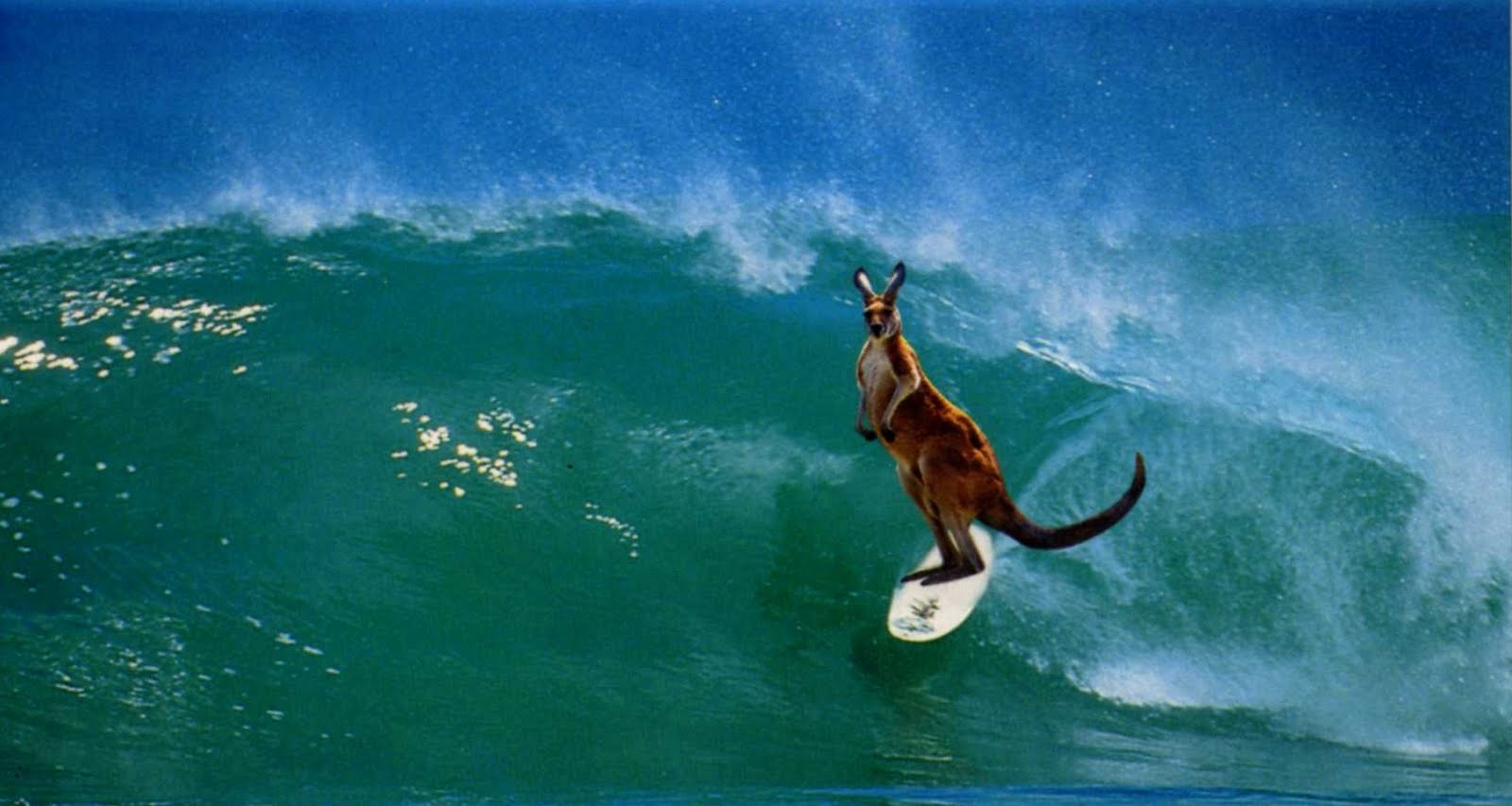 Debbie K Being True to my heART: Surfing emotions