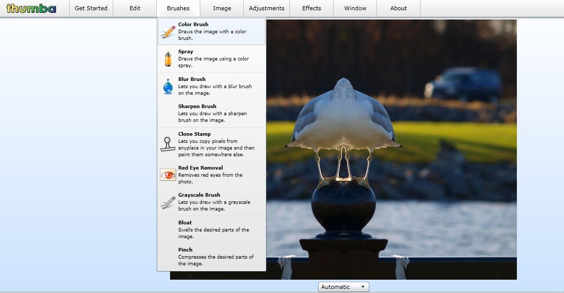 Living Online: Thumba, A Very Cool Web Based Image Editor
