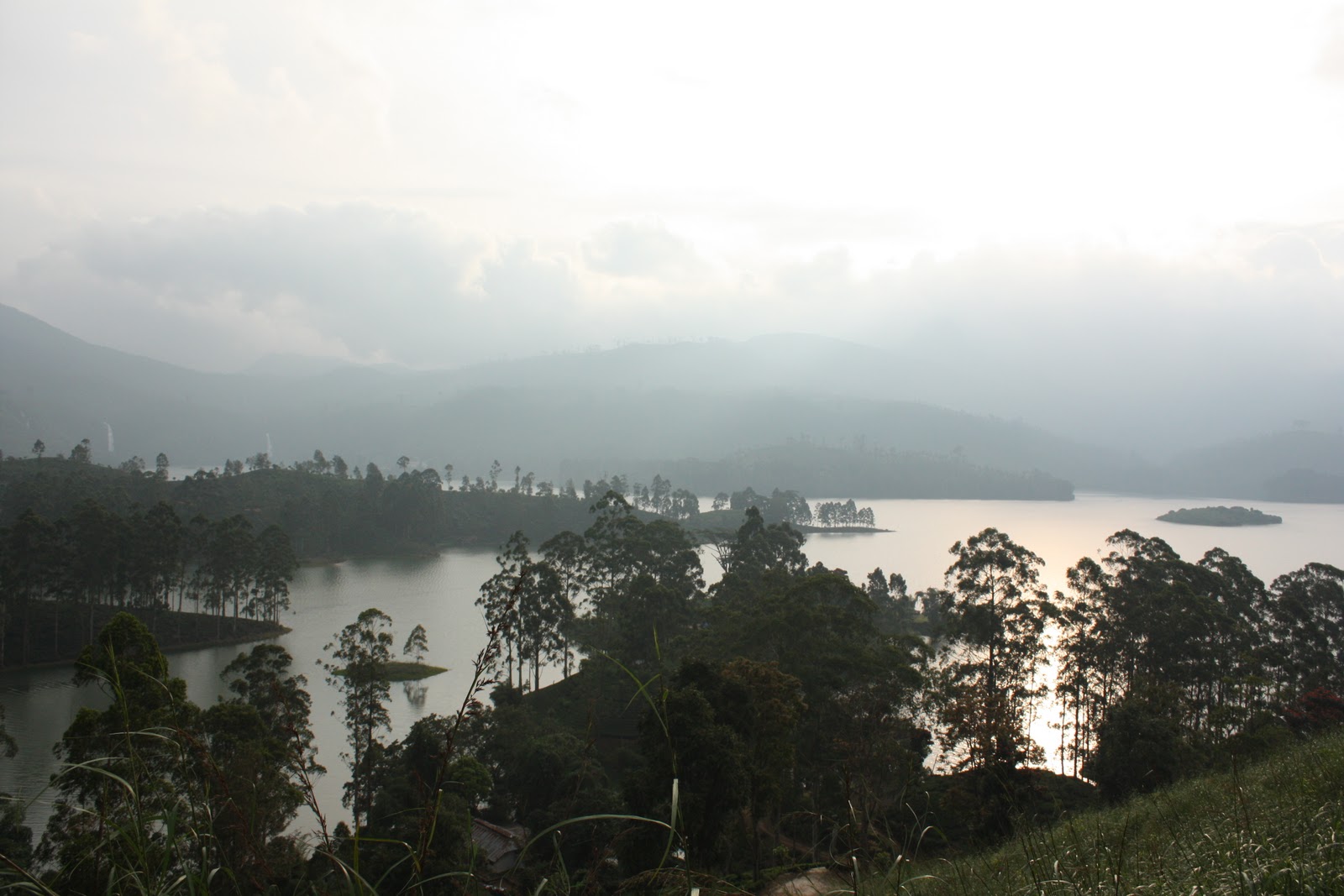 Jill & George's trip: Tea Leaf Vision Maskeliya