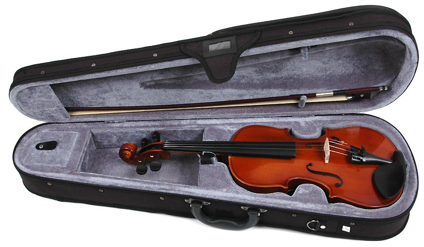 The Strings Collections: [WTS] Brand new Valencia V160 Violin
