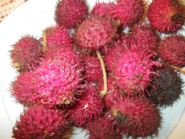 Life in Panama: Fruits & Vegetables Panama