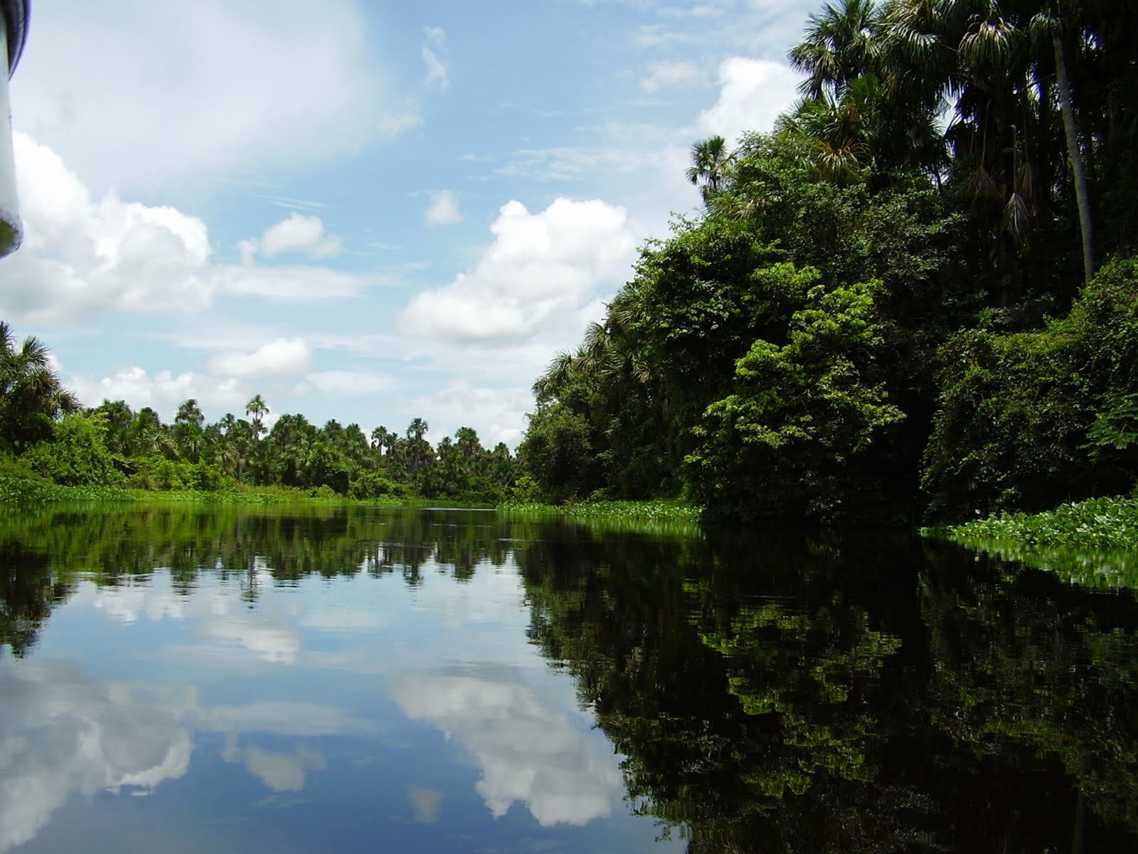 the road less traveled... in venezuela: quick trip to the rainforest