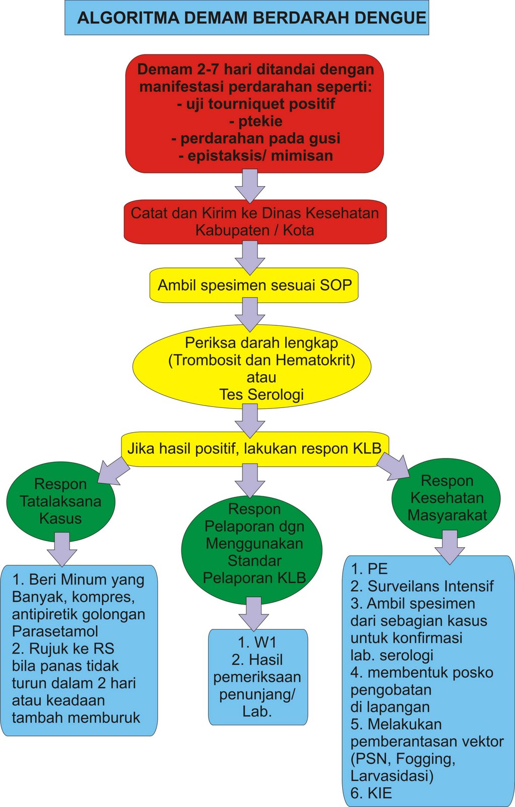 Maros Sehat: Tatalaksana Demam Berdarah Dengue