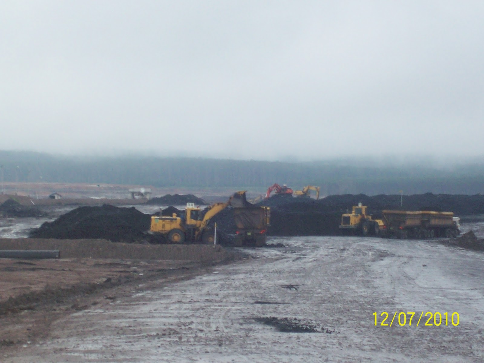 Xetyo: Mining coal areal adaro job BUMA