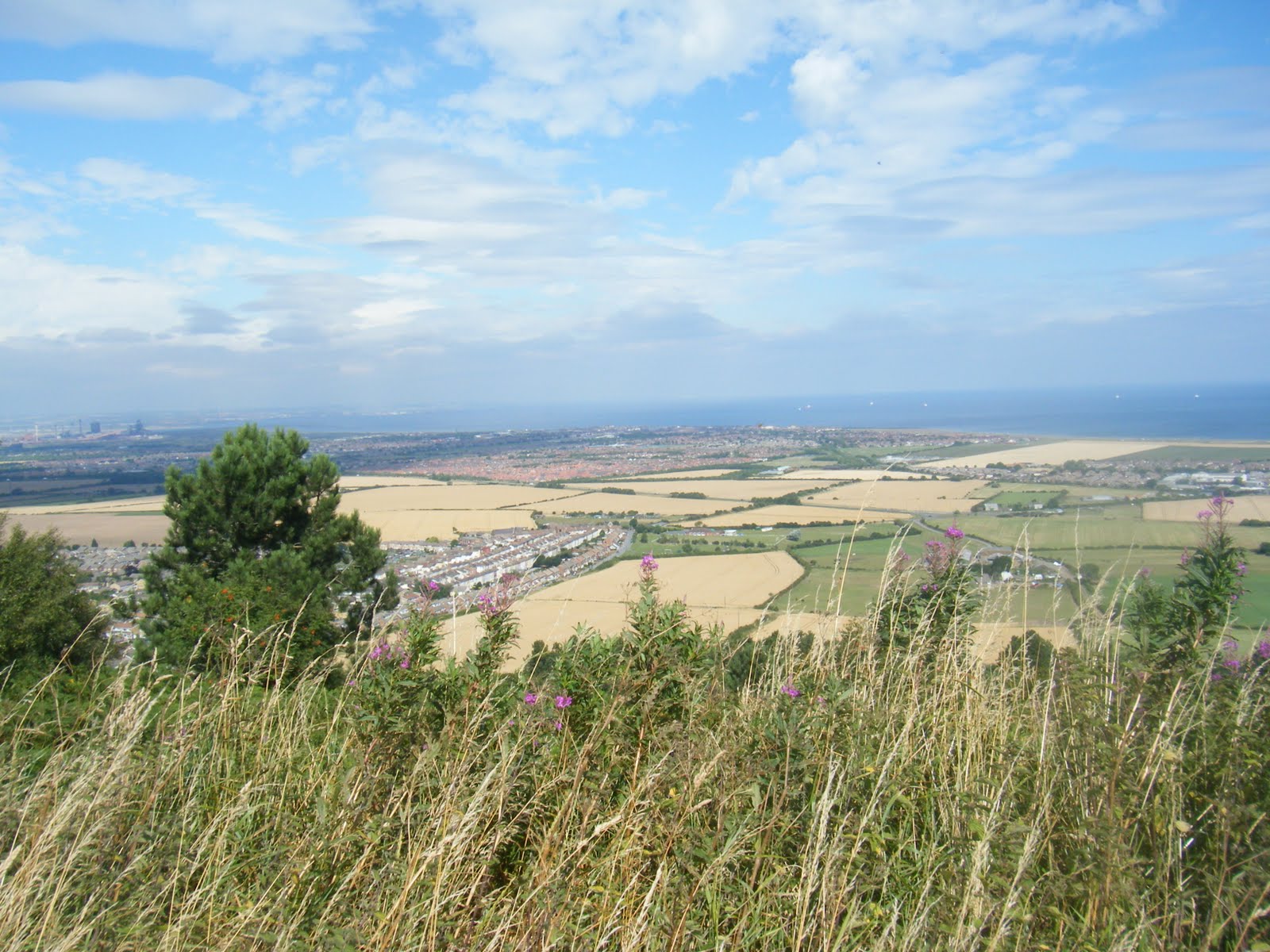 The Fat Singlespeeder: Errington woods Redcar Seafront