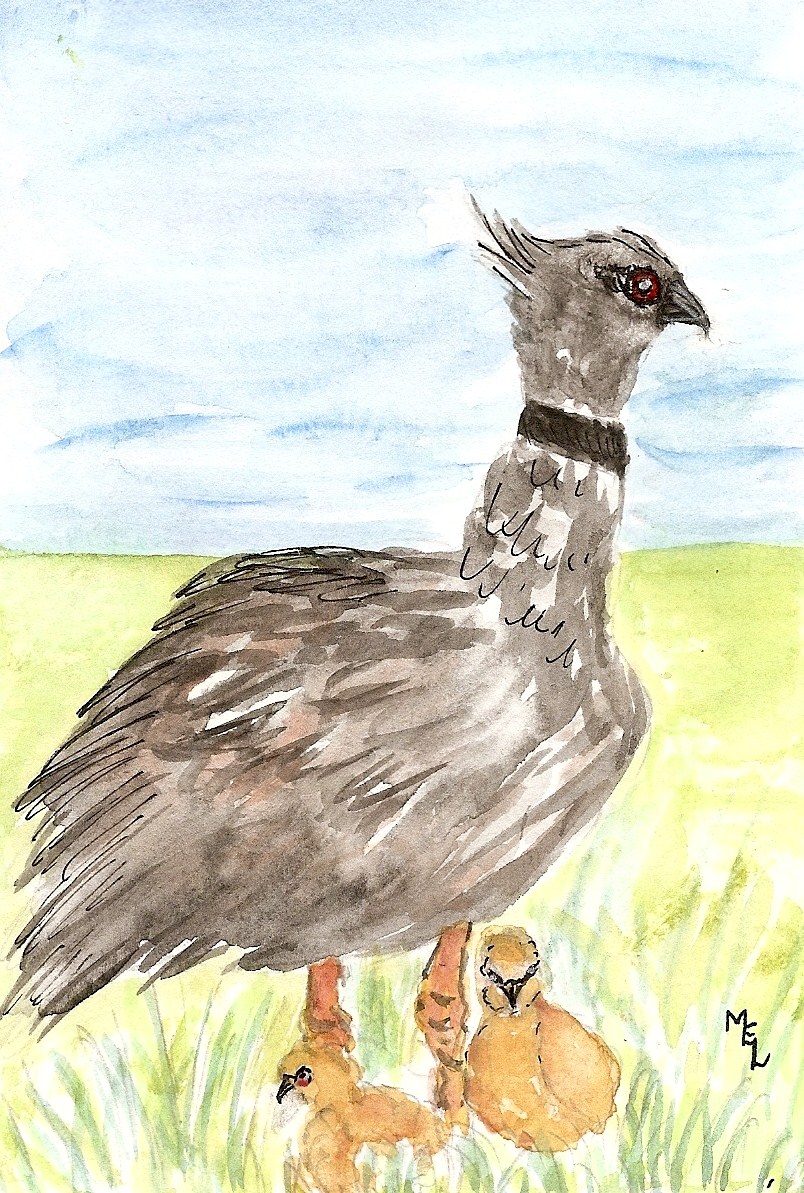 El Alma que Cuenta: CHAJÁ