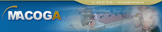 Macoga: Ventajas e inconvenientes de la inseminación artificial porcina