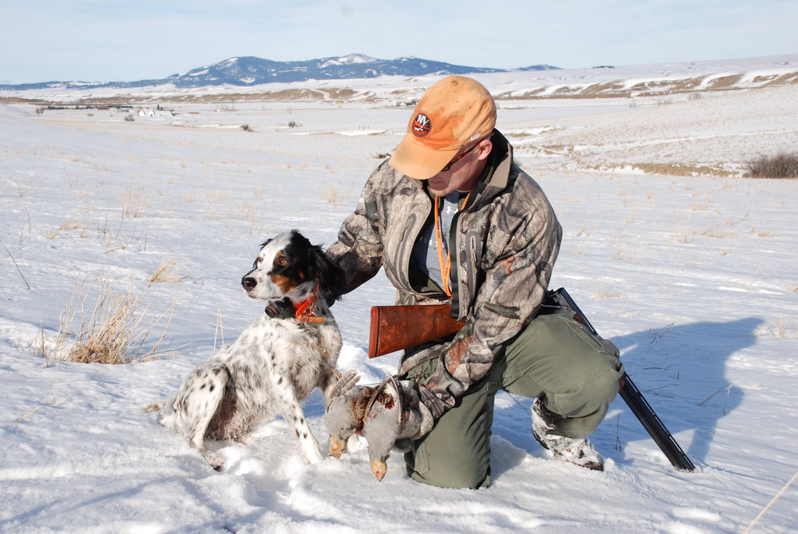 Montana Sporting Journal: The Final Bird Hunt