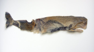 Angela Cockayne Interventions