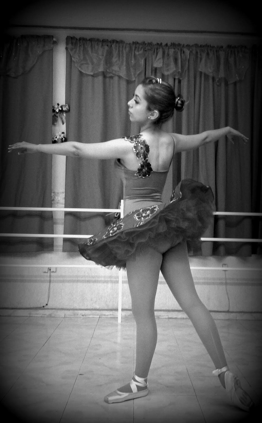 The Classic Ballet: IMAGENES