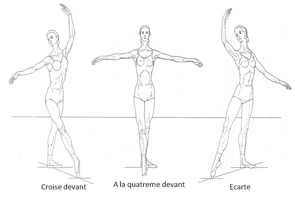 The Classic Ballet: POSICIONES BASICAS DEL CUERPO