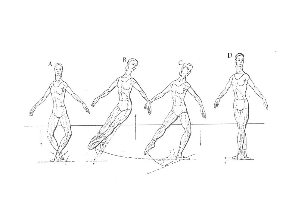 The Classic Ballet: BRISE FINE