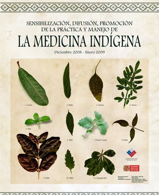 mapuches: ~ Medicina Mapuche