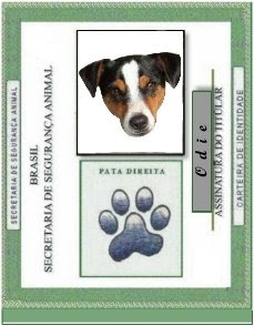 Clube do Fox Paulistinha: RGA - Registro Geral Animal em São Paulo - SP