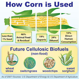 CORN WASTE HAS MORE POTENTIAL THAN ETHANOL