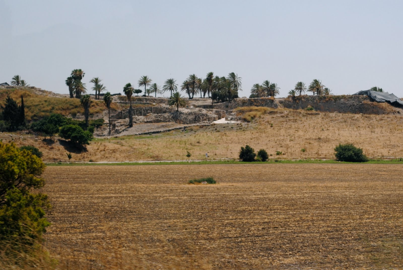 Megiddo | Pitter Patter