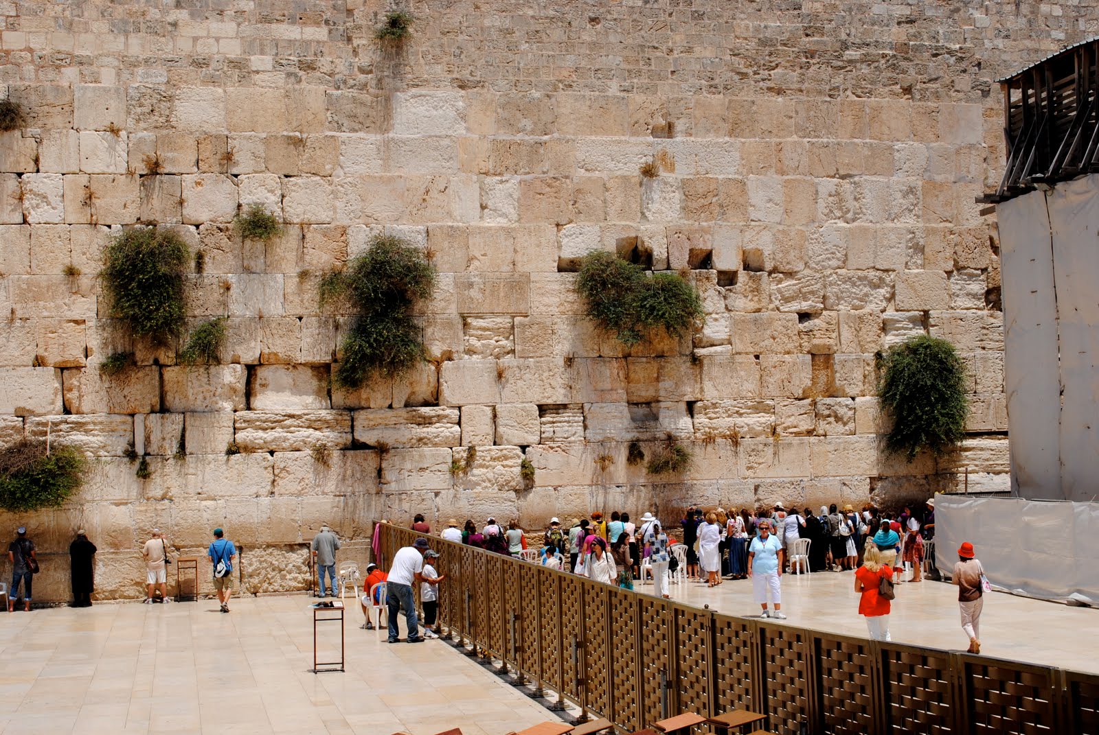 The Wailing Wall | Pitter Patter