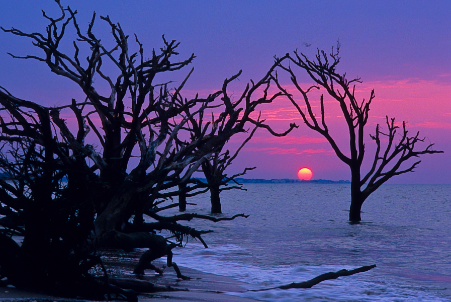 Doug's Photo Blog: Sunrise at Botany Bay