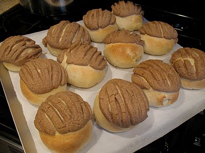 Conchas - Mexican Sweet Bread - Amanda's Cookin'