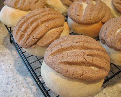 Conchas - Mexican Sweet Bread - Amanda's Cookin'