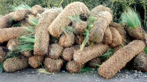 KAcanalTIMES: BW use both old and new technology to battle bank erosion ...