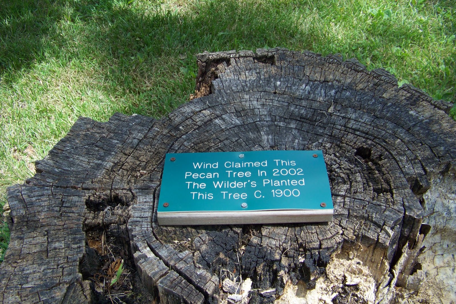 Mom Heart Home: Rocky Ridge Farm - Mansfield, Missouri