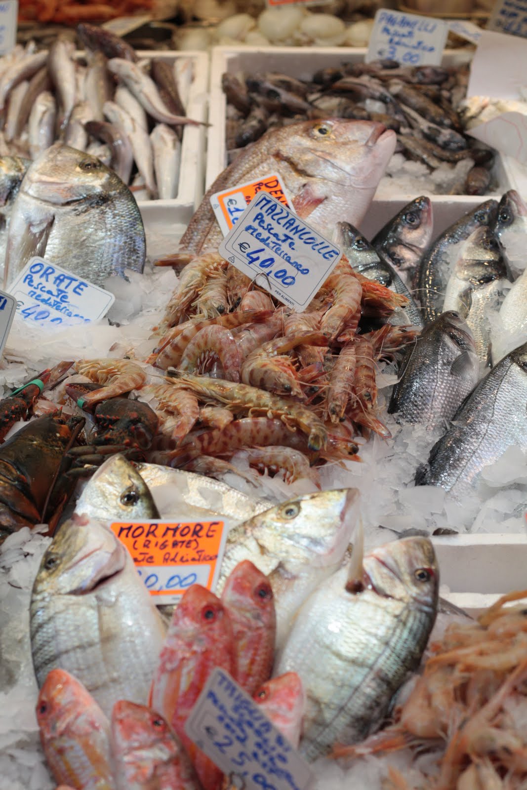 Hungry Cravings: Bites of Bologna