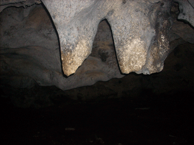 SITUS GOA MAMPU - Towarani 1407