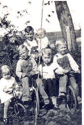Ives & Cousins: Children of the Ives Farm
