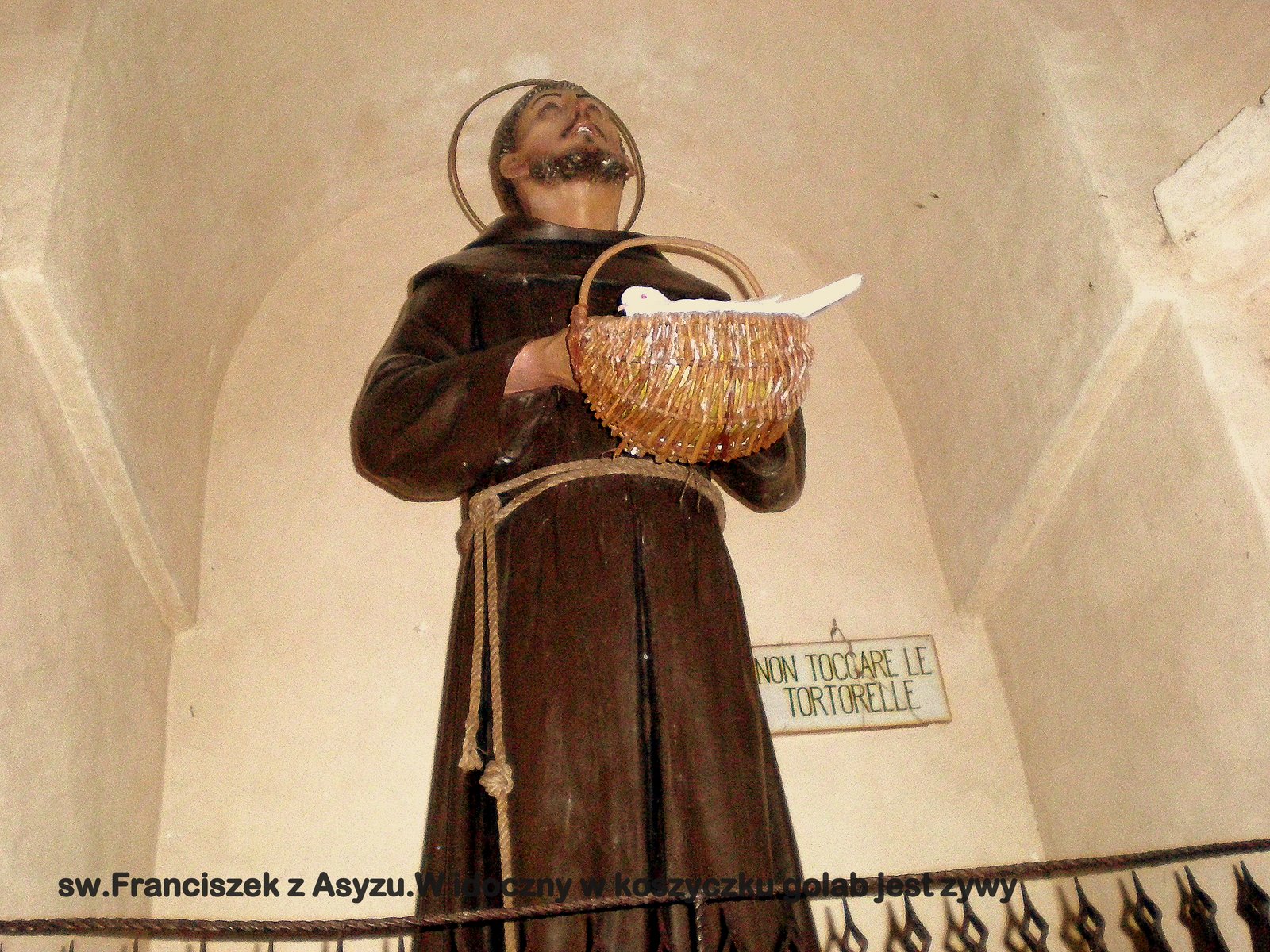 wypominki: Sw.Franciszek z Asyżu