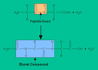 What is this in CHEMISTRY?: Biuret reaction