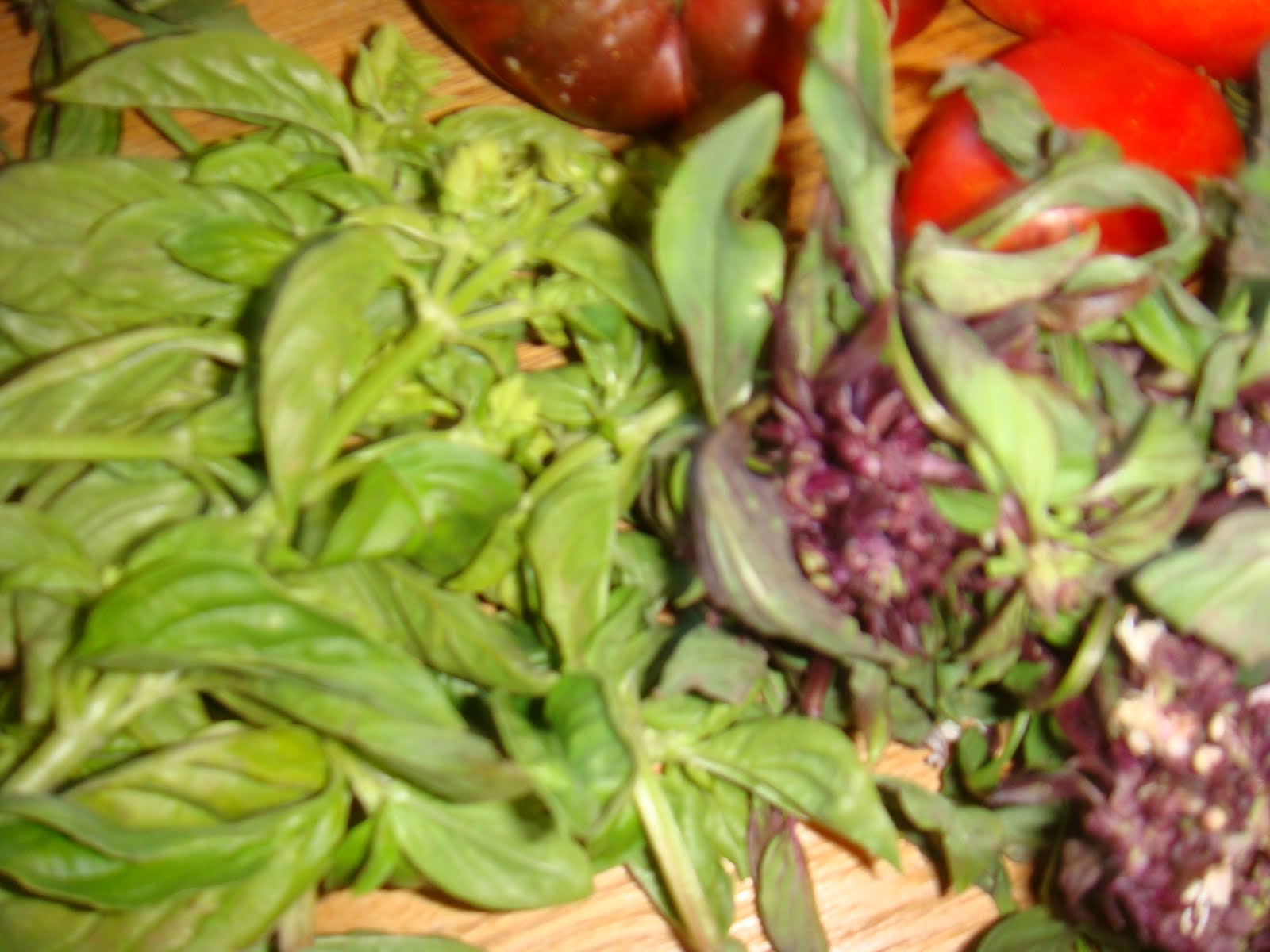 Zoe's Garden Community Supported Agriculture: Fuzzy Vegetables and ...