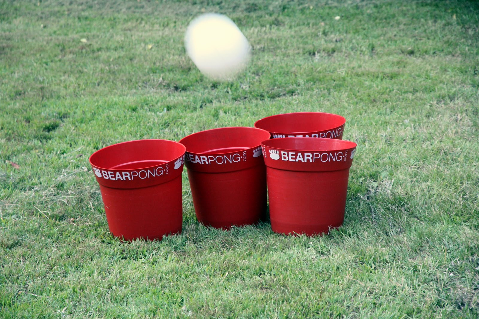 Jason's Photos: Bear Pong