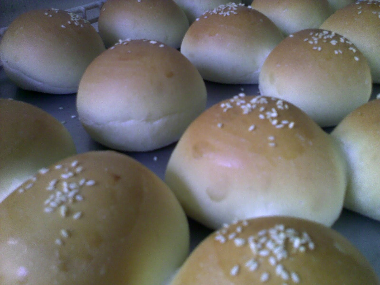 Sweet Yeast /ENSAIMADA CORRECTION