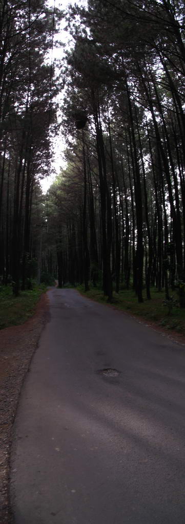 Gowes-aH: Sepedahan Sendiri: Uphill Gunung Pancar