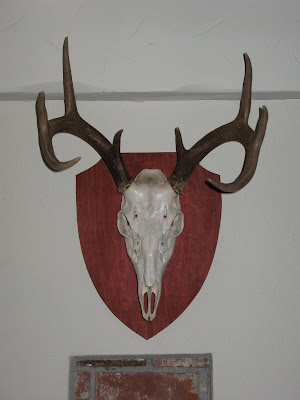 Wapiti with an Arrow: Finished European Mount
