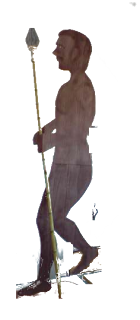 L´evolució dels homínids.: Homo sapiens sapiens