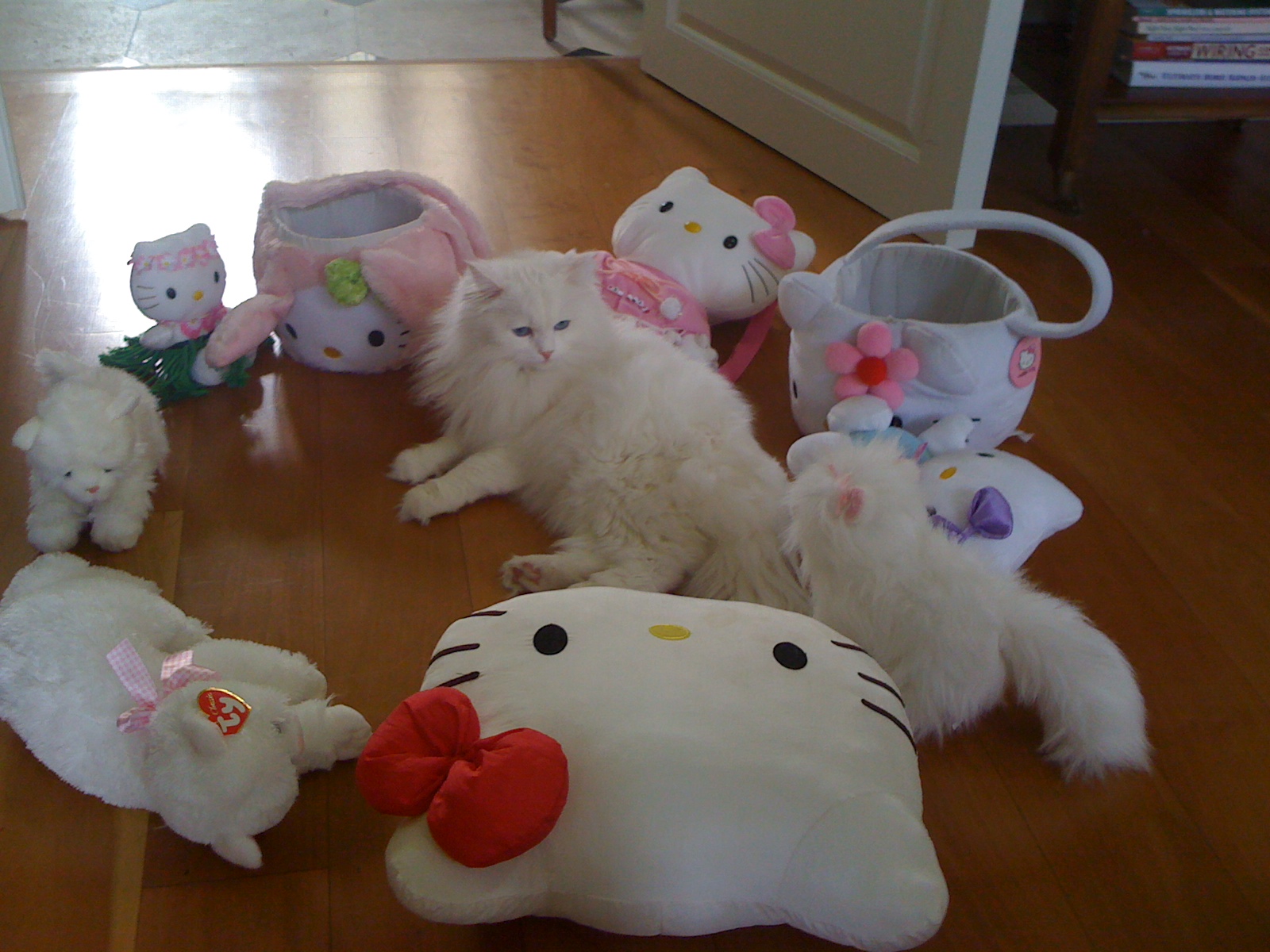 ♥ Oh My, Amai! ♥: The Real Hello Kitty