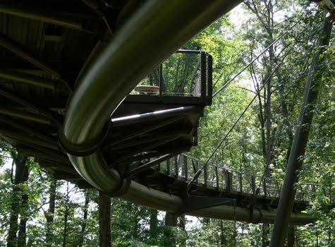 wanderlust ATLANTA: Atlanta Botanical Garden: Oasis in the City