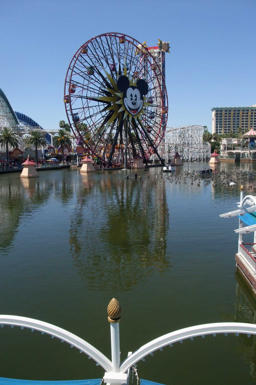 A nice morning strolling the Parks.