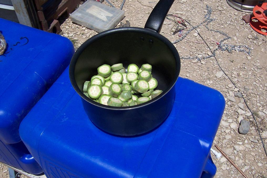 Terlingua or Bust: Yucca Soup