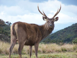 Beautyfull Sri Lanka