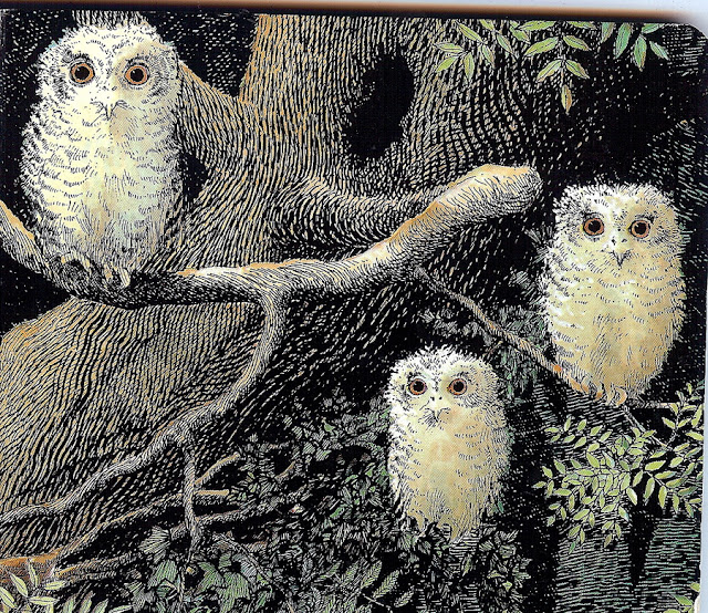 Year 1's Blog: The Owl Babies