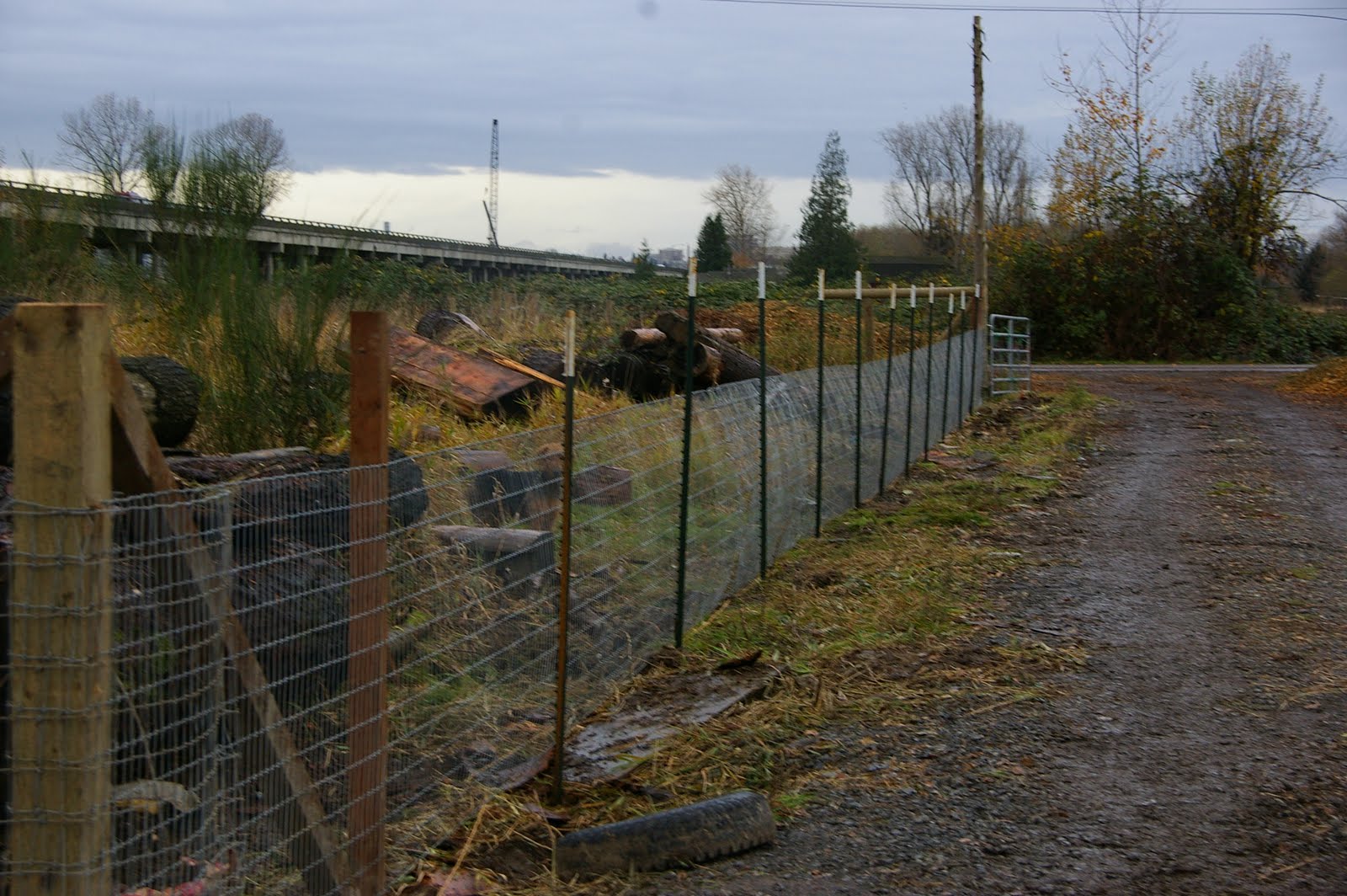 meat: Driving T posts with a tractor